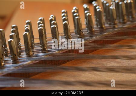string instrument, dulcimer, Salzburger hackbrett, string instruments ...