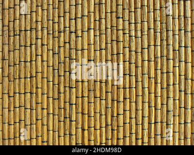 reed, reed mat, reeds Stock Photo - Alamy