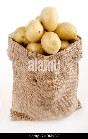 potato, potato sack, raw potatos, potato sacks Stock Photo - Alamy