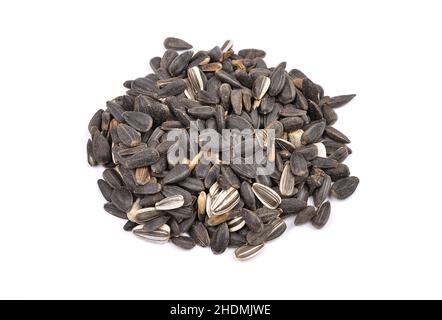 sunflower seeds, unpeeled, sunflower seed, unpeeleds Stock Photo - Alamy