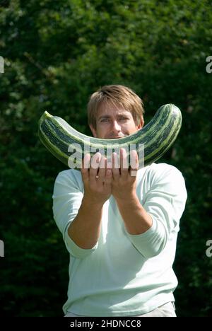harvest, zucchini, harvests, zucchinis Stock Photo - Alamy