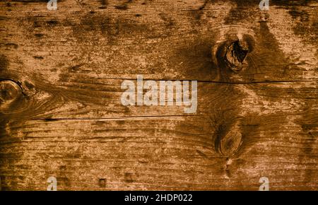 wood, surface, structure, woodland, woodlands, woods, surfaces ...