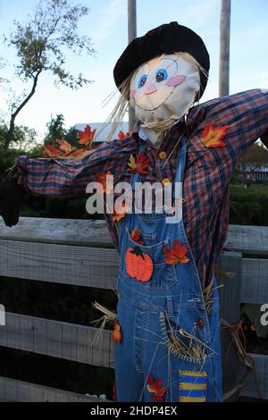 Pumpkins and scarecrow decoration in the garden Stock Photo - Alamy