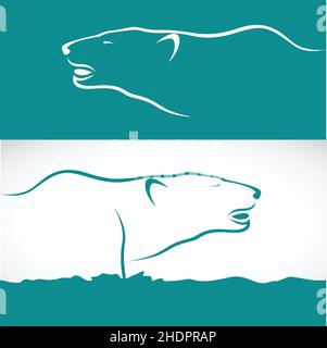 A cute angry blue bear cartoon character isolated on the white ...