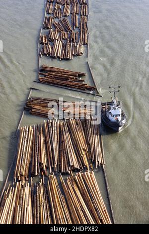 Logging barge on the Columbia River Gorge carrying logs and sawdust ...