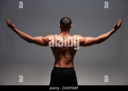 muscular build, muscle, bodybuilder, muscular builds, muscles ...