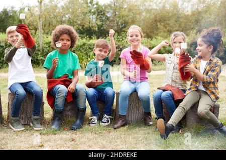 childhood, fire pit, childhoods, children, kid, kids, fire pits Stock ...