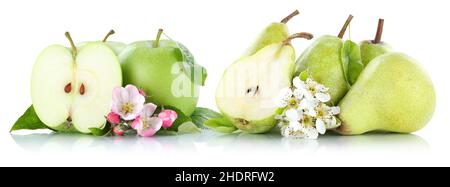 pear, pip fruit, pears, pip fruits Stock Photo - Alamy