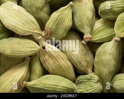 spices & ingredients, cardamom, cardamom capsule, spices and ...
