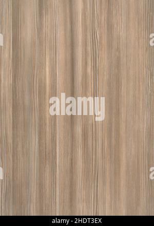 backgrounds, wood, structure, background, woodland, woodlands, woods ...