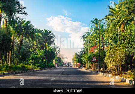 egypt, road, egyptian, egypts, roads, street, streets Stock Photo - Alamy
