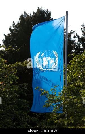 Flag of the United Nations. United Nations flag. UN symbol. Flag on the ...