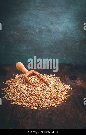 rye, cereal grains, ryes, cereal grain Stock Photo - Alamy