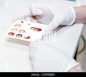 research, diagnostic, blood sample, researchs, diagnostics, blood ...