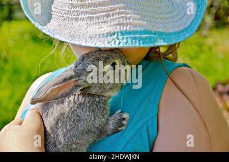 girl, pets, rabbit, girls, pet, rabbits Stock Photo - Alamy