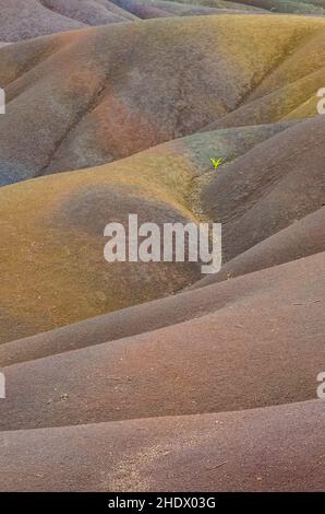 Seven colored earths in Mauritius, nature reserve, Chamarel. The green ...