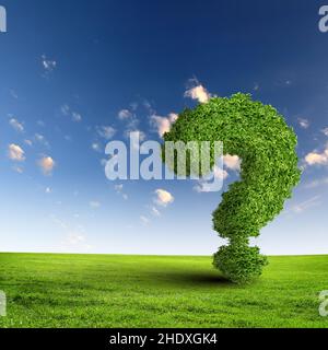 ecology, question mark, environmentalism, ecologies, question marks ...