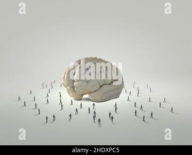 wisdom, intelligence, brain, wisdoms, intelligences, brains Stock Photo ...