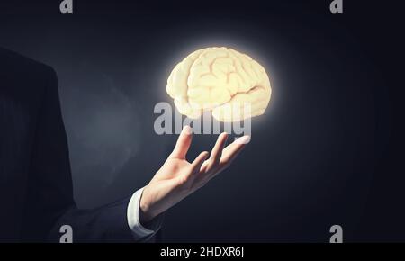 knowlege, intelligence, brain, knowleges, intelligences, brains Stock ...