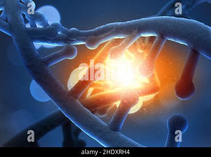 dna, gene, dna strand, dnas, genes, dna strands Stock Photo - Alamy