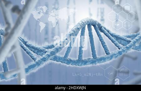 genetic research, biochemistry, genetic researchs, biochemistries Stock ...