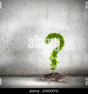 environment protection, question mark, sustainability, environment ...