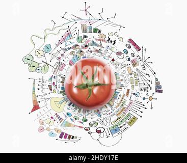 ideas, brainstorming, visualization, idea, visualizations Stock Photo ...