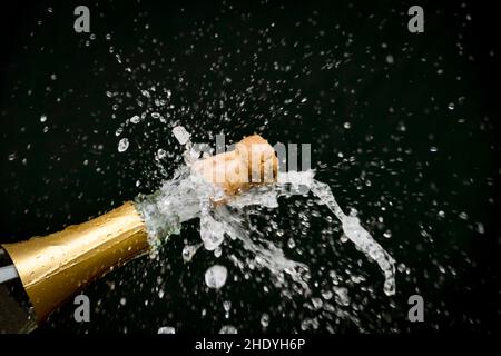 champagne, tangy, cork, bang, champagner, champagnes, tangies, corks ...