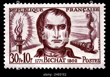 Marie Francois Xavier Bichat, French Anatomist and Physiologist Stock ...