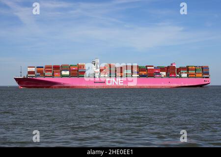 The container ship One Eagle will pass Cuxhaven on June 16, 2021 on its ...