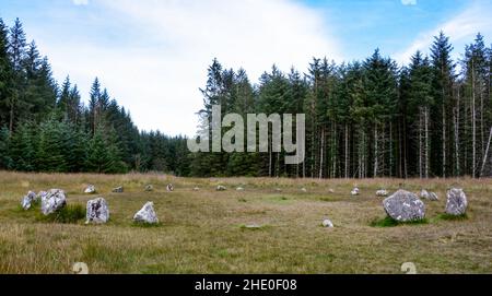Ancient Stone Circle within Fernworthy Forest on Dartmoor, Devon Stock ...