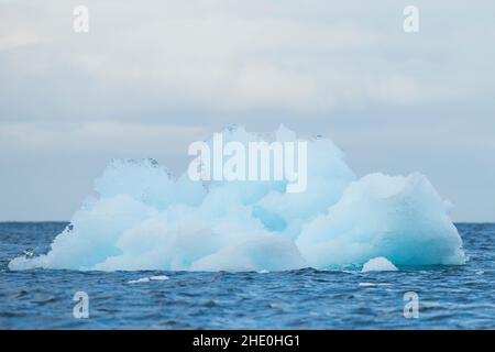 Blue iceberg in Foyn Harbour, Antarctica Stock Photo - Alamy
