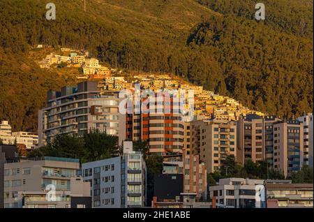Modern apartment buildings at sunrise, Pichincha volcano, Quito ...