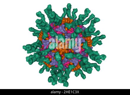 Structure of human poliovirus (serotype 1), 3D cartoon model, black ...