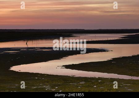 Sunset view of wetlands, Ludo trail, Ria Formosa Natural Park near Faro ...