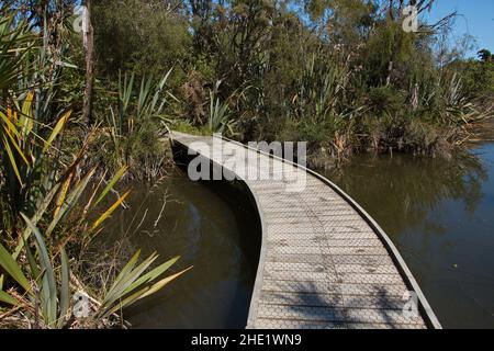 Hapuka Estuary Walk in Mount Aspiring National Park,West Coast on South ...