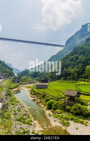 Aizhai suspension bridge and rice fields in Hunan province, China Stock ...