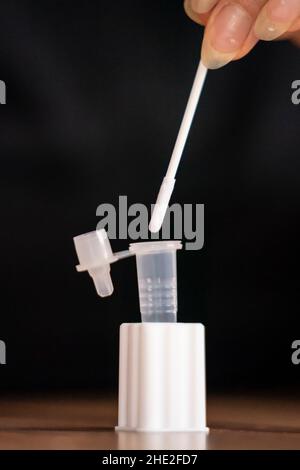 PICTURE POSED BY MODEL A person placing a swab from a Covid 19 lateral ...