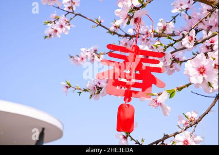 A traditional Chinese fabric hieroglyph for the Chinese New Year ...