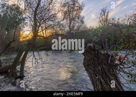 Sunset view of the origin point of the Jordan river, were the streams ...