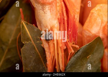 Atlantic shrimp cooked with allspice and bay leaf close-up, surface ...