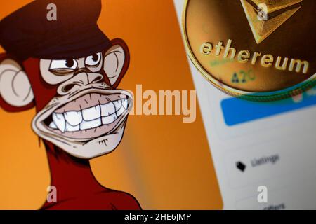 Example of a Bored ape NFT collectible. This particular nft is part of ...