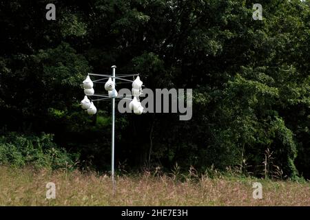 Purple Martin Gourd Rack System Bird Houses for Birds Stock Photo - Alamy