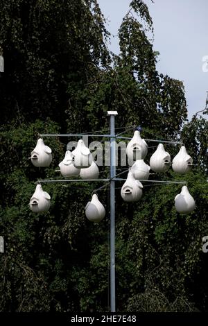 Purple Martin Gourd Rack System Bird Houses for Birds Stock Photo - Alamy