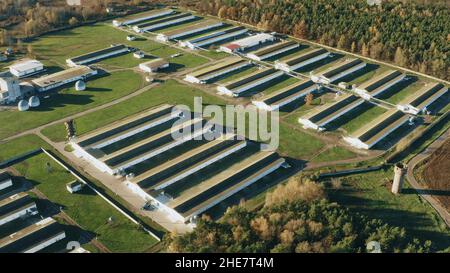Aerial View Modern chicken farm, barns, Sheds. Bird's-eye View In Sunny ...
