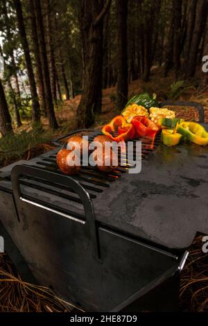 Different Types of Vegetables on the grill on a sunny day getting ...
