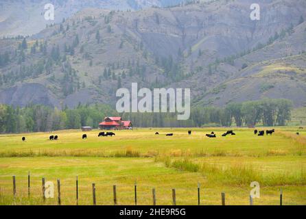 A large ranch on the eastern Gore Range, near Big Gulch CO Stock Photo ...