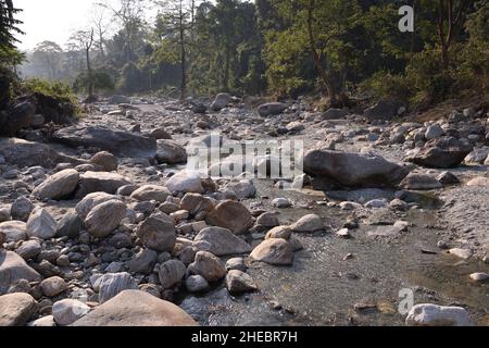 River Neora in Kalimpong district. West Bengal, India Stock Photo - Alamy