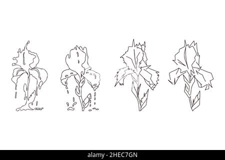 a set of stylized iris flower, origami, vector illustration Stock ...
