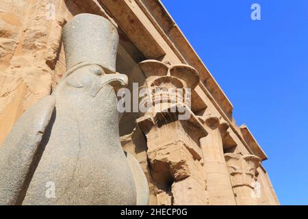 Horus statue in front of Horus temple, Edfu, Idfu, Horus temple, Horus ...